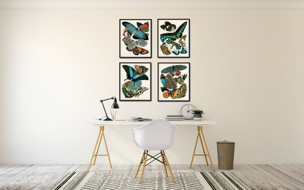 Butterfly Print Set - Seguy Butterfly Prints – BelleBotanica